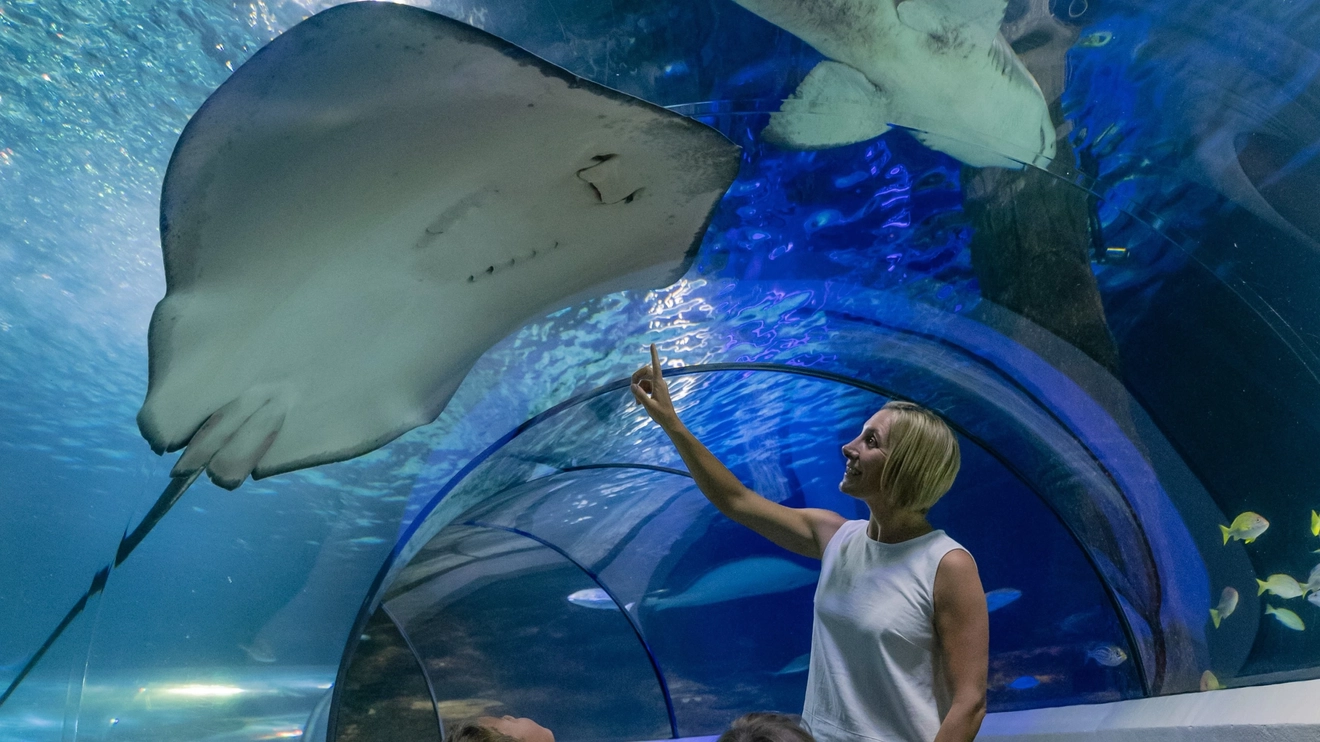 Sunshine Coast for families | Jetstar