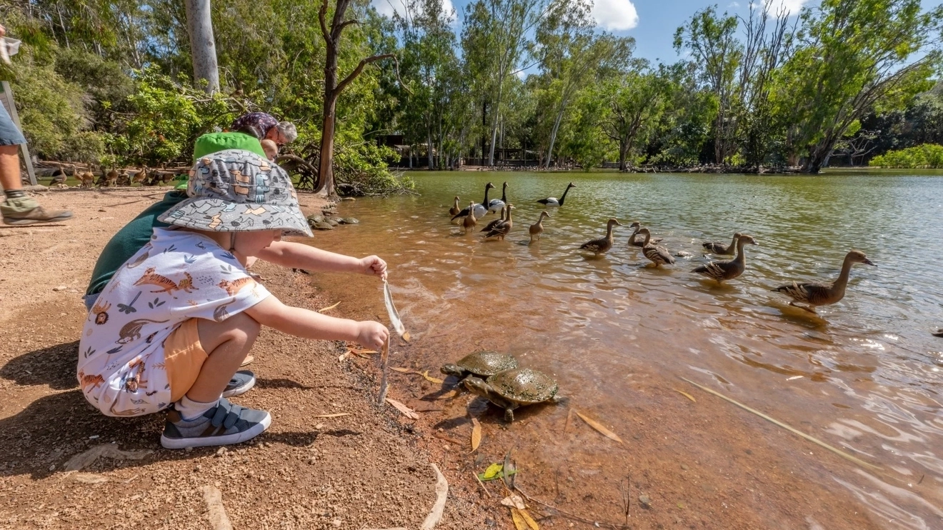 The best of Townsville with kids | Jetstar