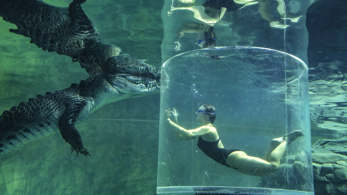 Flights to Darwin, Australia | Jetstar